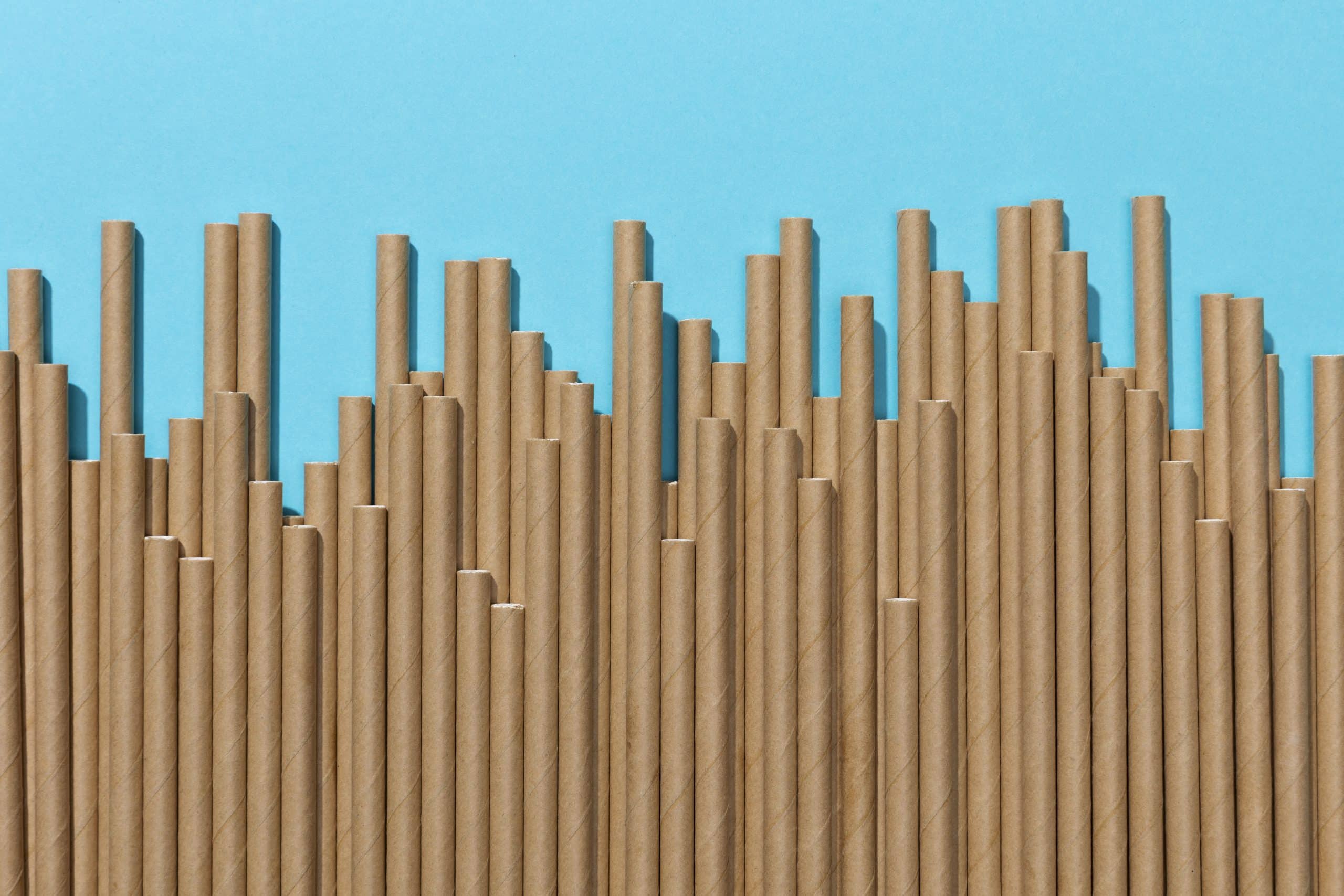 Paille réutilisable eco-responsable : une solution écologique pour la ...